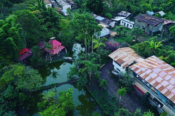 La Chacra D'Dago - Biodynamic - Community Lot - Khipu Coffee